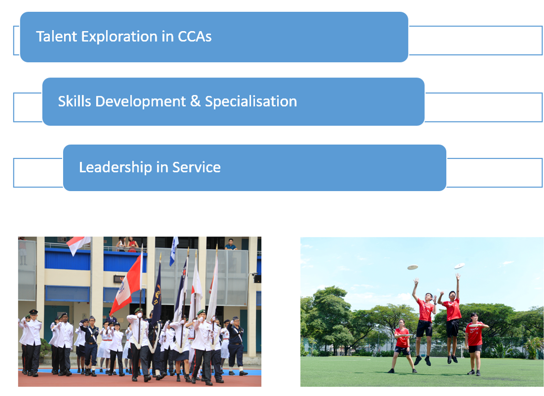 Co–Curricular Framework